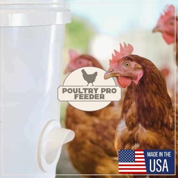 Poultry Feeder Ports: How DIY Solutions Are Changing Care
