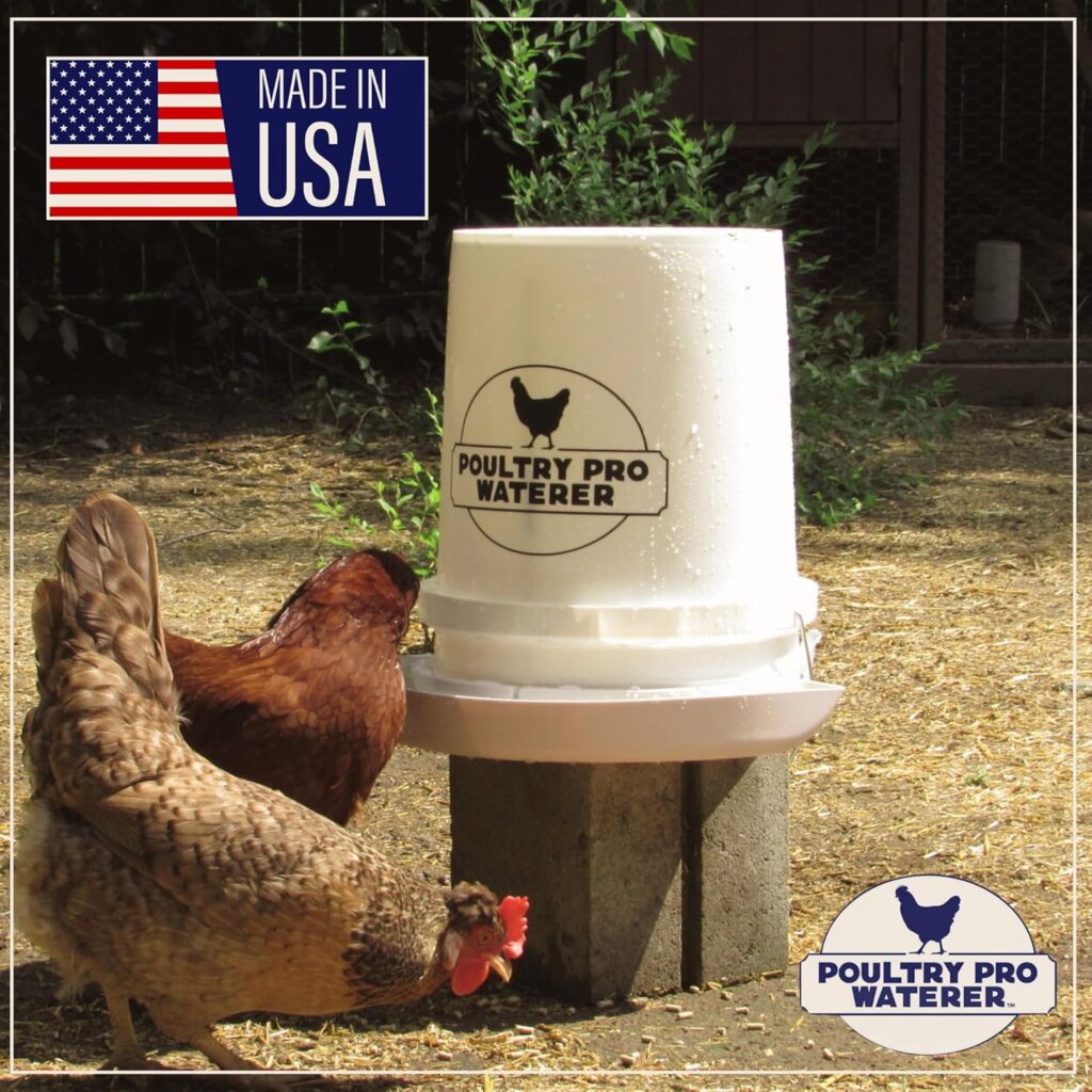 Automatic Chicken Waterers | High Capacity Poultry Waterers
